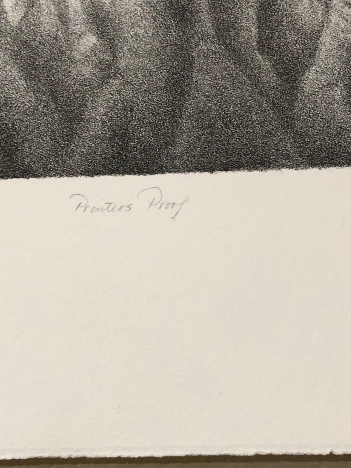 Joan Root – Original Lithograph – “The Arrival” – Printers Proof | eBay