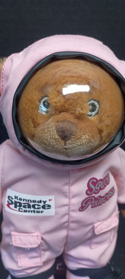 Kennedy Space Center Pink Astronaut Space Princess Plush Bear Pink Suit ...