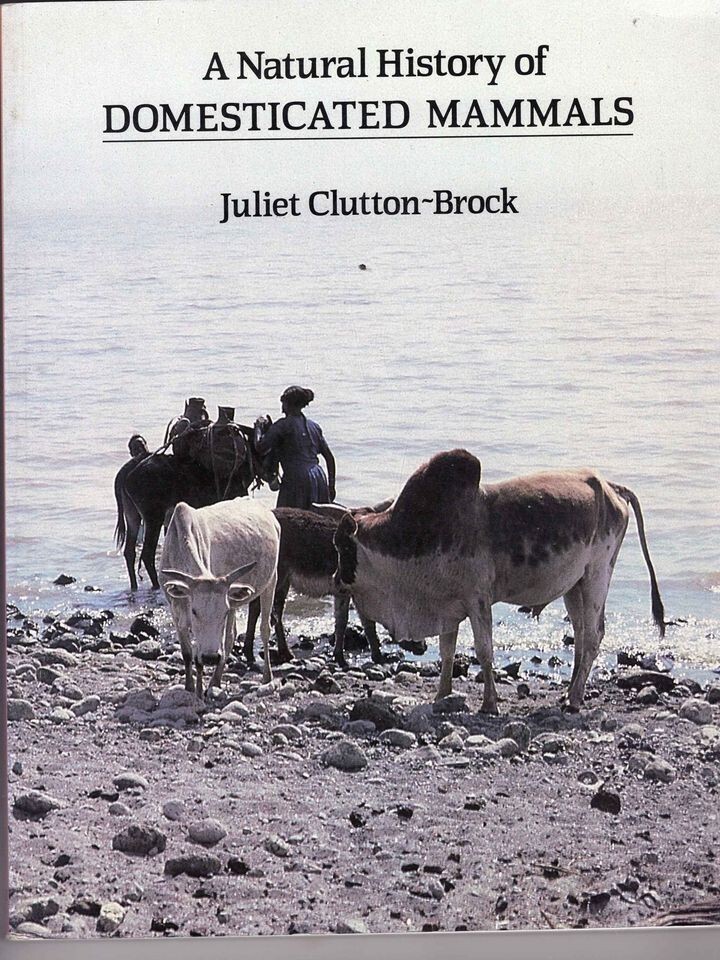 Natural History of Domesticated Mammals by Juliet Clutton-Brock (1988 ...
