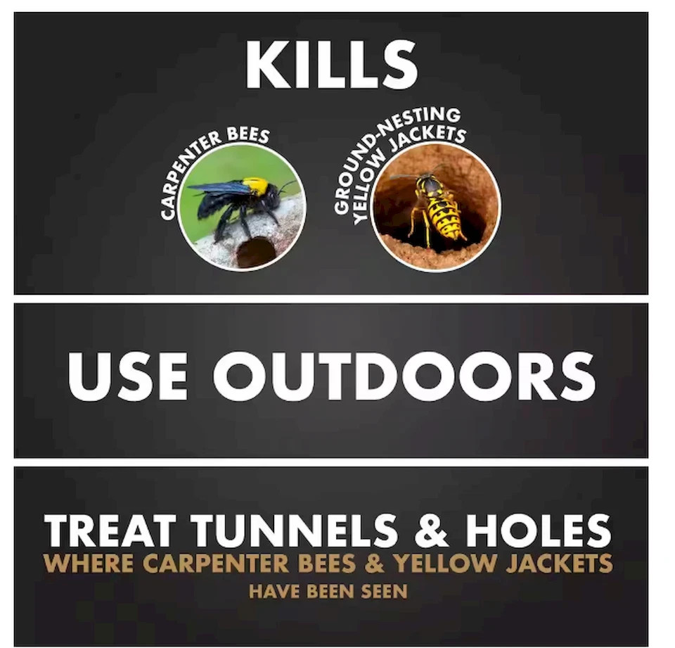 Spectracide Bee & Wasp Killer Foam 16oz, 2Pk – Carpenter Bee, Yellow ...
