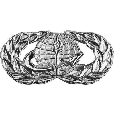 USAF Air Force Badge Basic Force Support Regulation Size | eBay