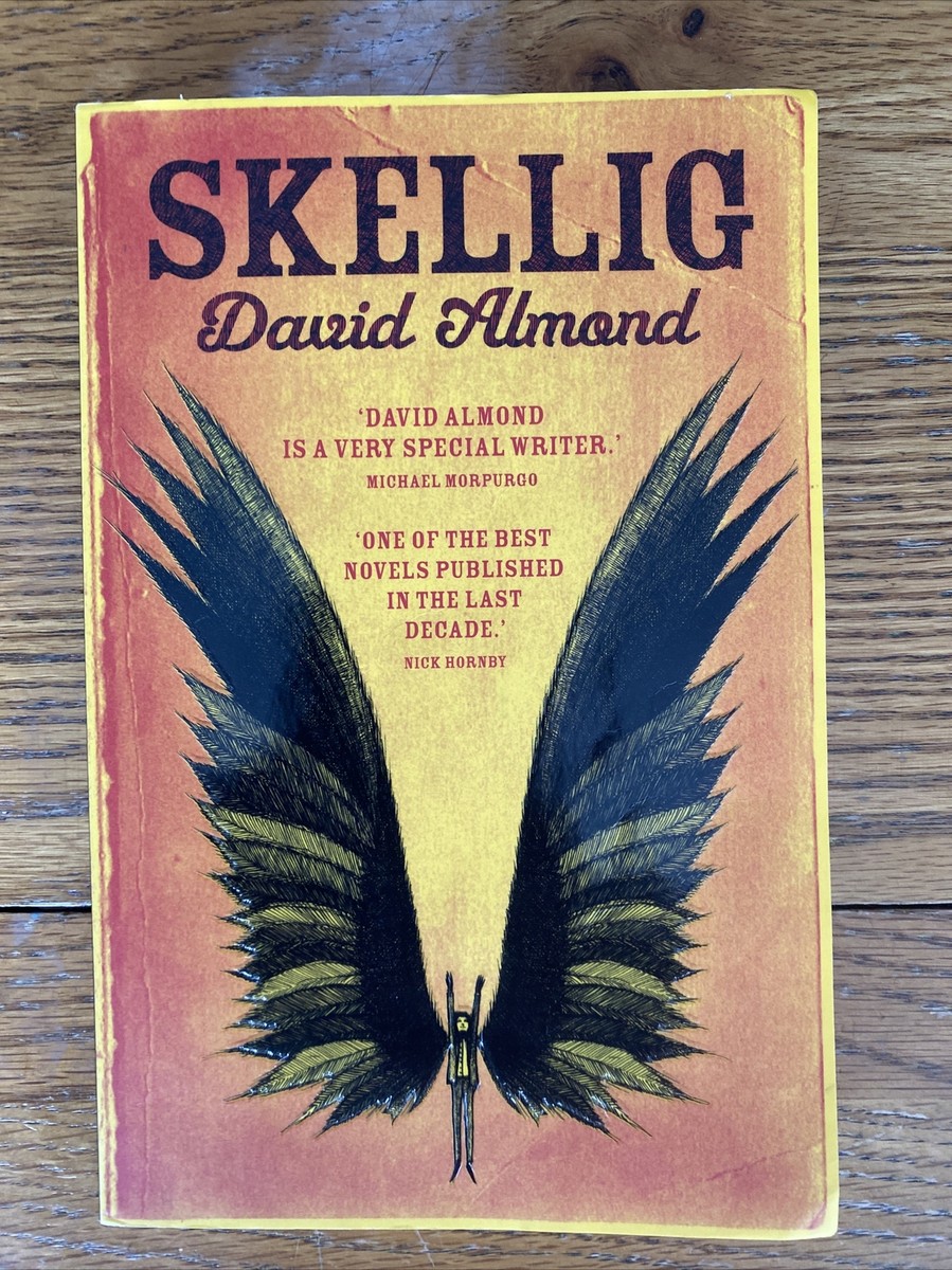 Skellig Book Quotes What To Expect When Cycling The Skellig Coast On