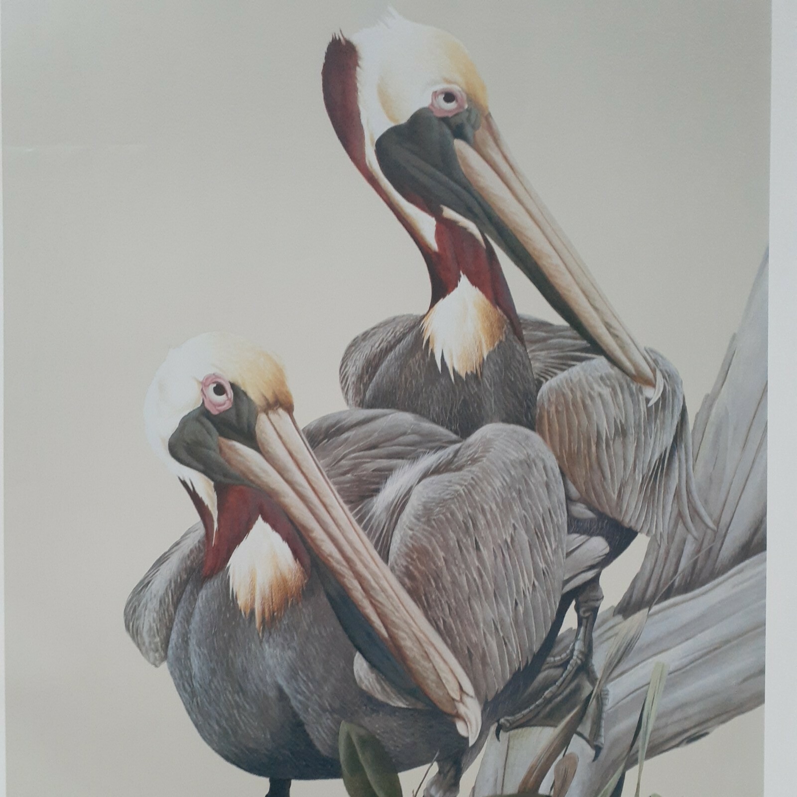 Rare Art LaMay Double Signed A/P- LE 82/ 150 "Southern Exposure" 30.5 ...