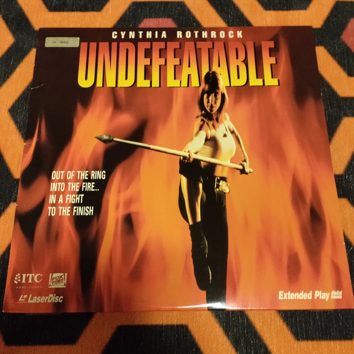 Undefeatable Cynthia Rothrock