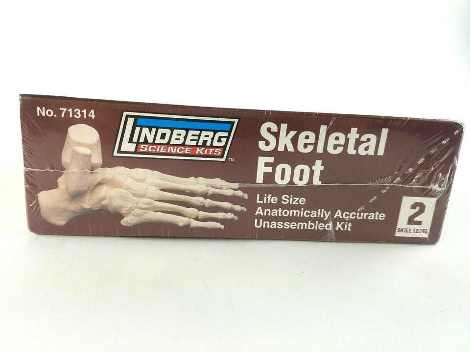 Skeletal Foot by Lindberg Science Kits Fully Articulated Life-Size ...