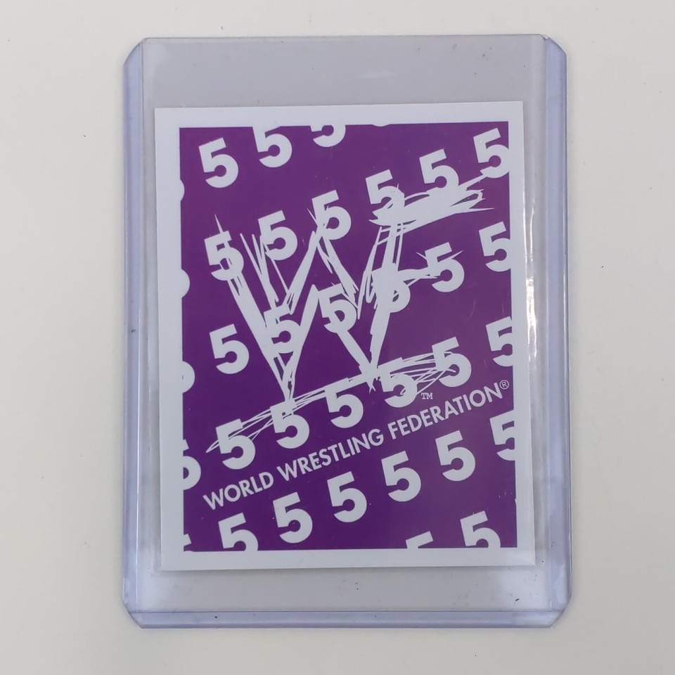 WWF New Age Outlaws Trading Card World Wrestling Federation Trivia WWE ...