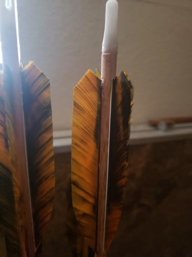 Titan Allen Instant Fletching Cement 67511A 2 Bottles for sale online ...