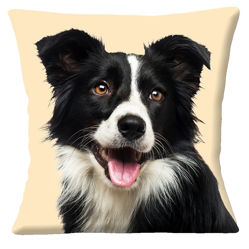 Border Collie Cushion | eBay UK