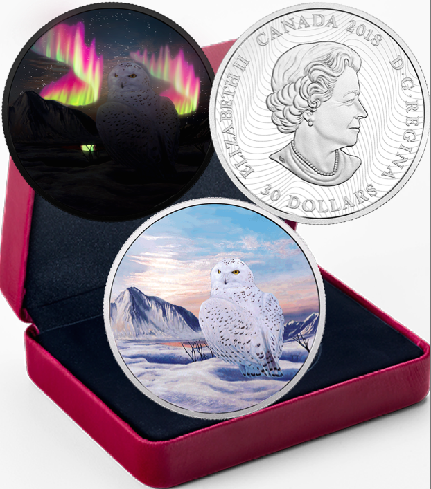 2018 Northern Lights Snowy Owl ArcticAnimals $30 2OZ Silver Coin Canada ...