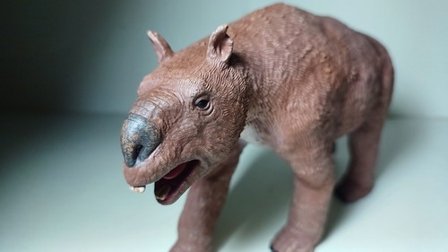 2024 NEW Collecta Dinosaurl Toy / Figure Diprotodon | eBay
