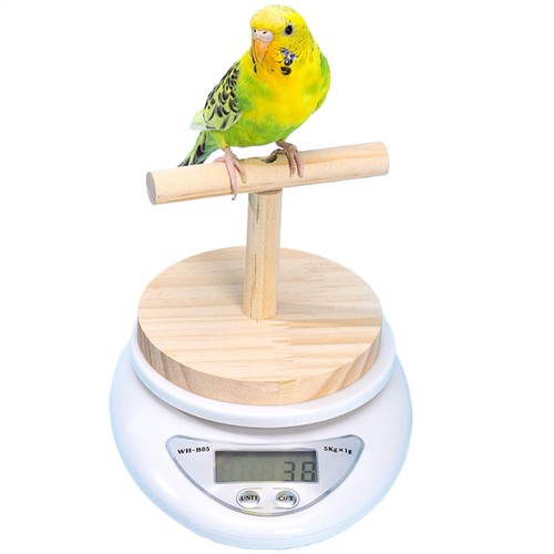 Parrot Scale Parrot Training Animal Scale With Perch High Accuracy ...
