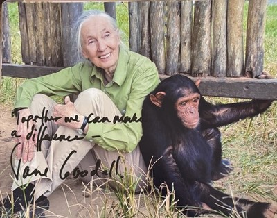 Jane Goodall Signed Autographed 8x10 Color Photo | eBay