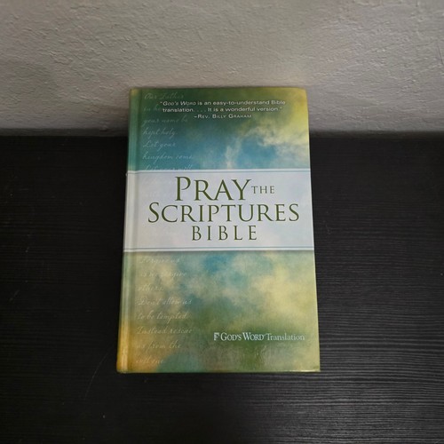 Pray the Scriptures Bible: God's Word HC Kevin Johnson 2012 9780764208577| eBay