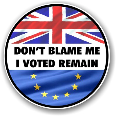 2pcs Brexit DON'T BLAME ME I VOTED REMAIN Slogan Referendum EU car ...