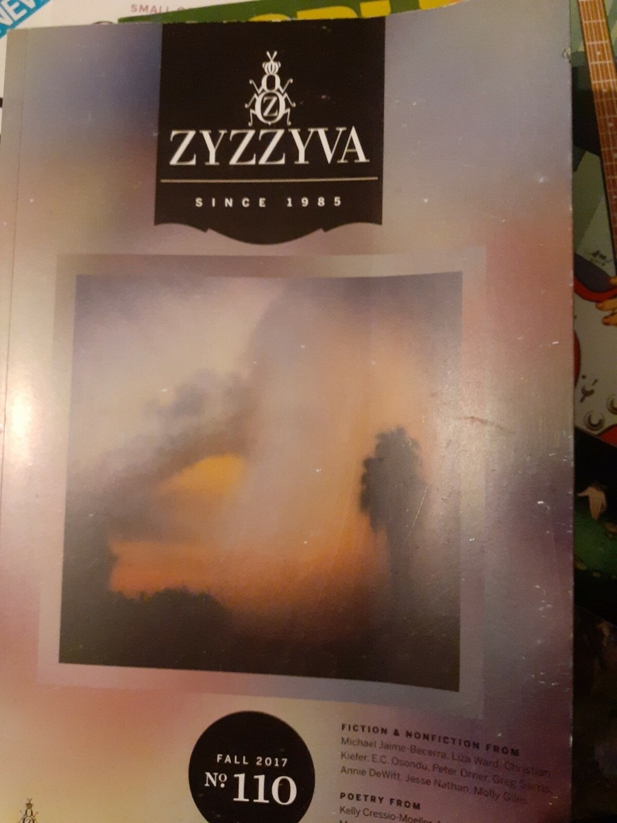 Zyzzyva Meaning