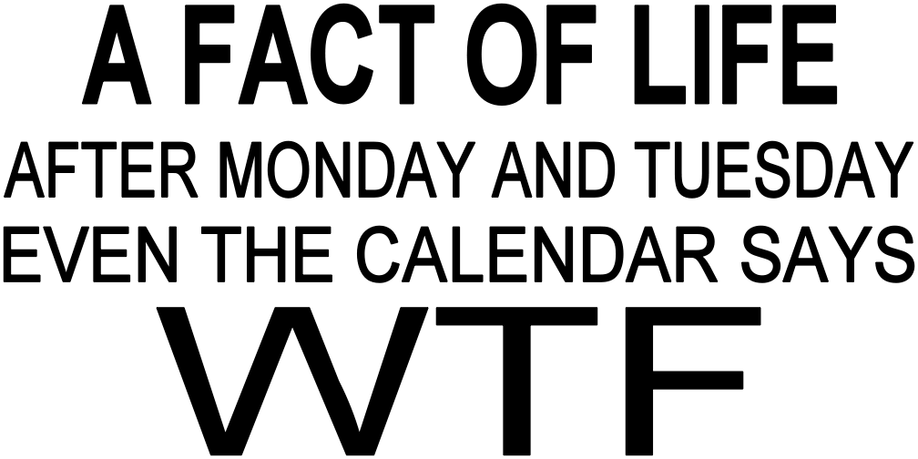 Wtf Facts Quotes Amazon.com: UTF4C Quote Snowflake Christmas Ornaments