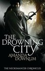 The Drowning City (Necromancer Chronicles 1) By Amanda Downum | eBay
