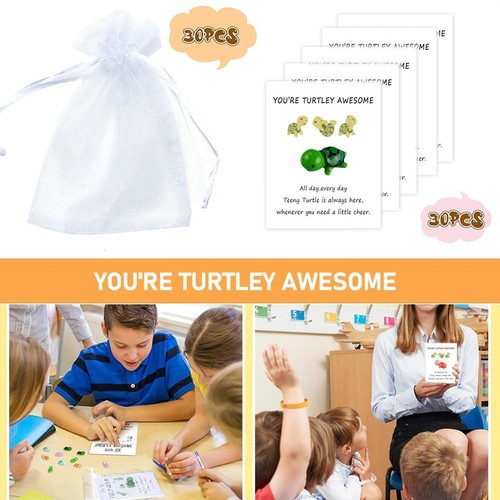 You're Turtley Awesome: Pocket Turtle Hugs & Cheer Up Card Gift Sets ...