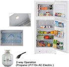 6.1 cu ft 2-Way Fridge Propane Gas Refrigerator Freezer RV Off-grid ...