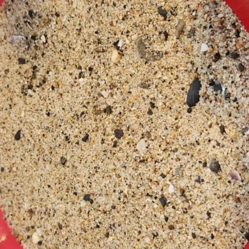 Playa Del Rey Beach Sand Soil Dirt Sample Los Angeles County California ...