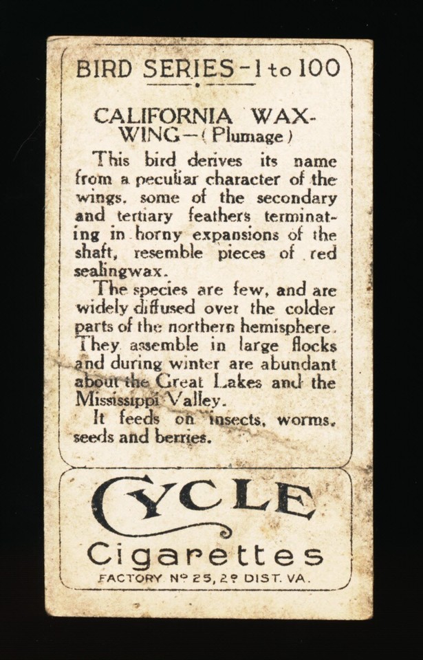 1910 T42 CYCLE Cigarettes BIRD SERIES (Gold Borders) Rare -CALIFORNIA ...