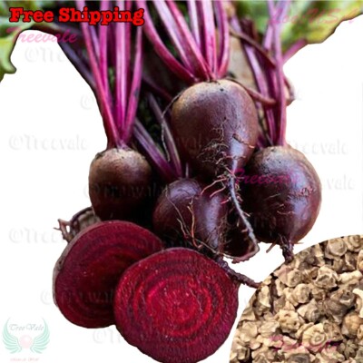 Detroit Dark Red Beet Seeds, Early Dark Red Seeds | NON-GMO, Vegetable ...