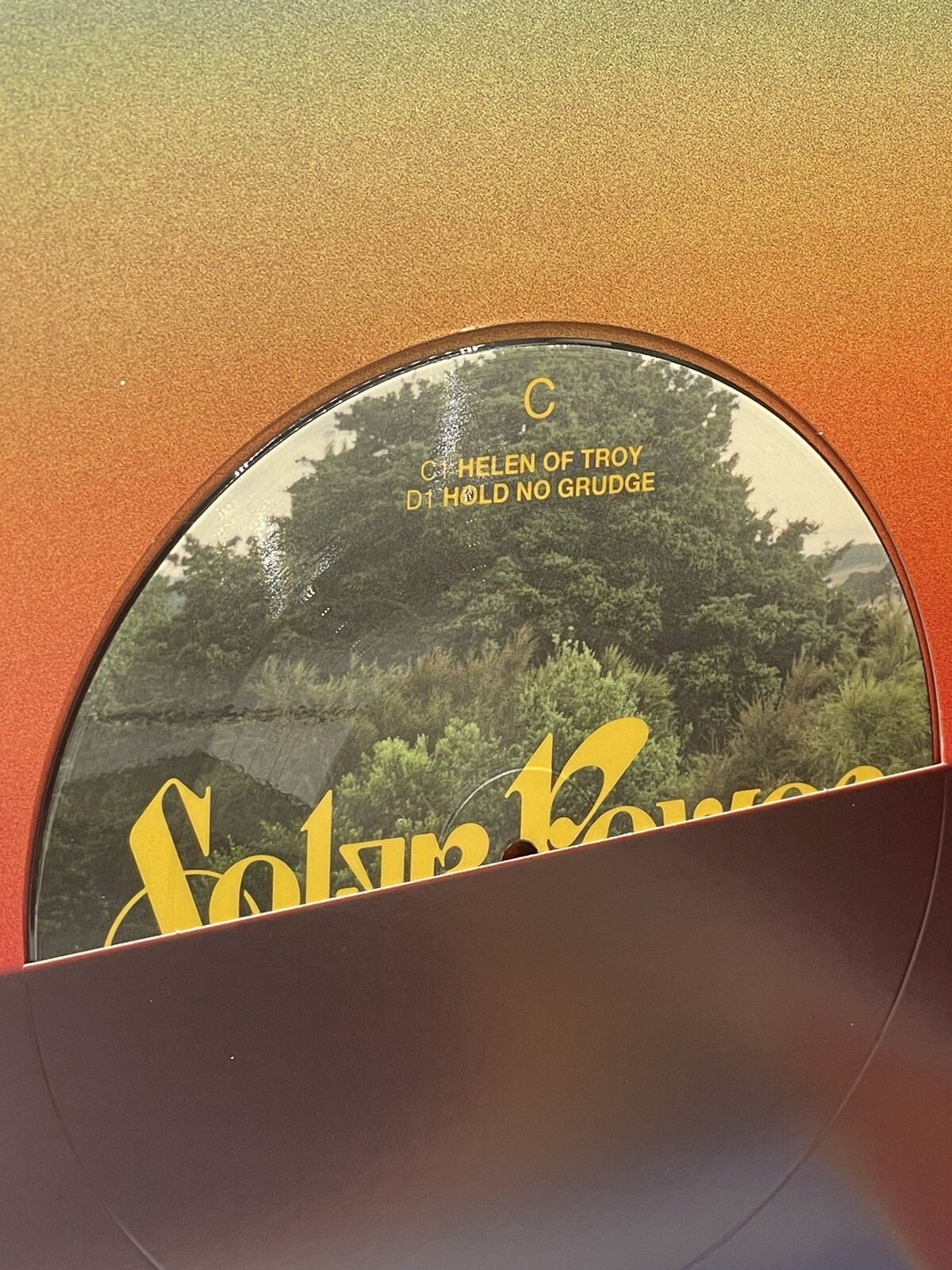 NEW Lorde Solar Power Deluxe Vinyl SIGNED Insert Bonus 7” Record ...