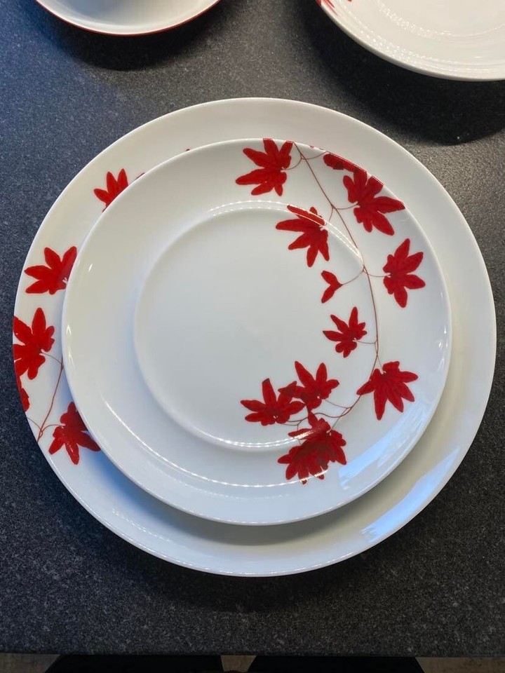 Mikasa Pure Red Porcelain 5-Piece Place Setting | eBay