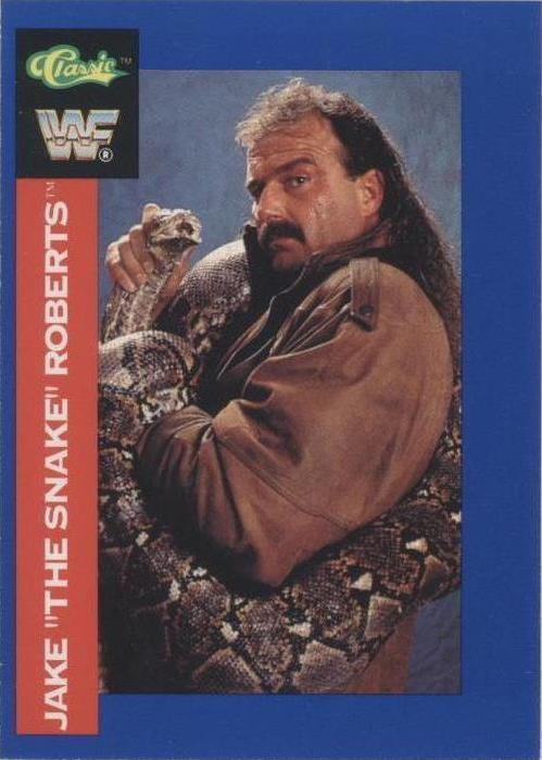 1991 Classic WWF Superstars - Jake "The Snake" Roberts #39 for sale ...