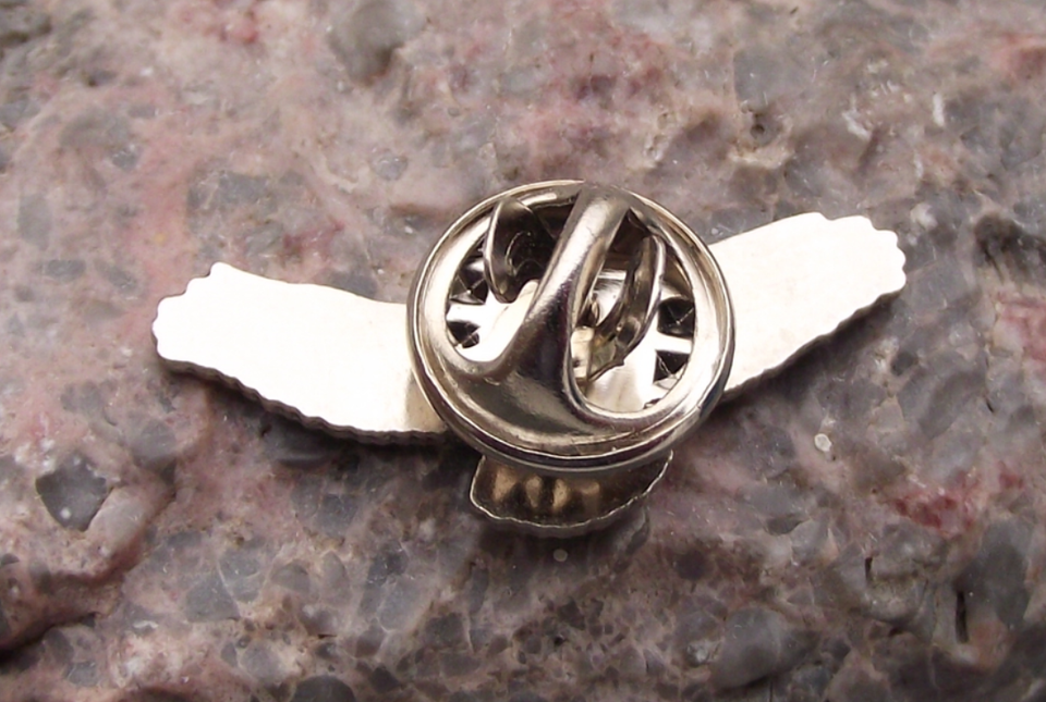 Soaring Buzzard Hawk Wildlife Protection Bird of Prey Raptor Brooch Pin ...