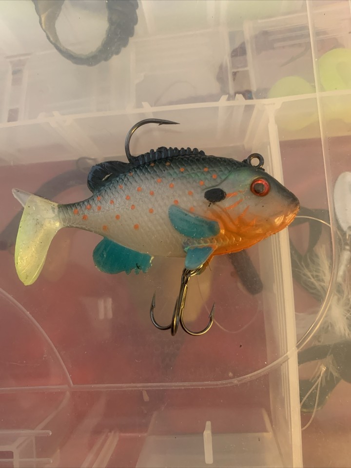 Storm WildEye Live Sunfish Semi-Softbait Fishing Lure Sunfish | eBay