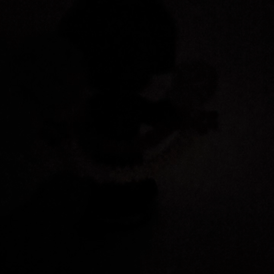 Disney Parks 2025 Polynesian Village Resort Maui Light-Up Tiki Statue ...