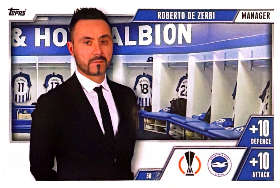 Brighton & Hove Albion F.C. Topps & Panini - Lot of 24 Cards | eBay
