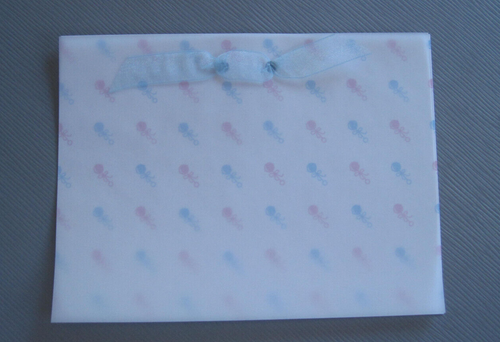 NRN Designs Baby Rattle Birth Announcements Stationary 10 Sheets, 10 ...