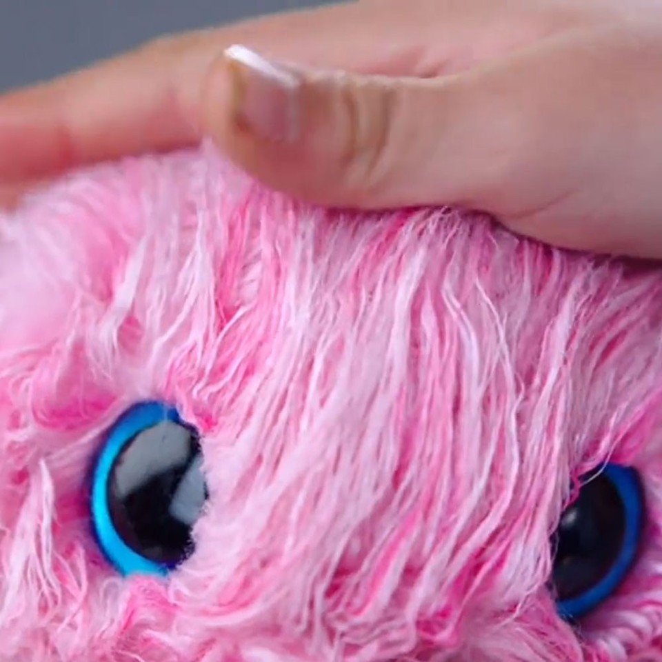 Scruff A Luvs Mystery Soft Plush Rescue Pet Cat Dog Bunny Doll Kids Toy ...