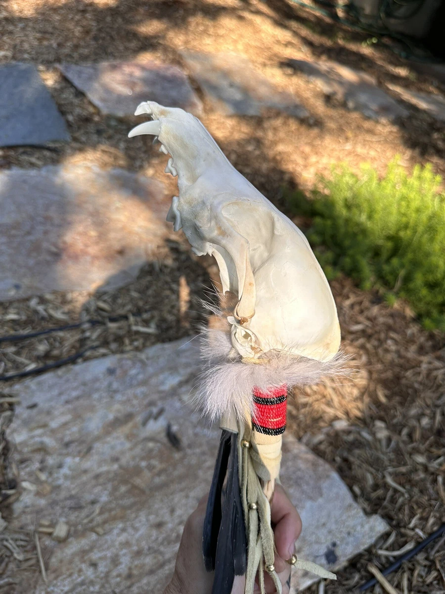 Animism Native American