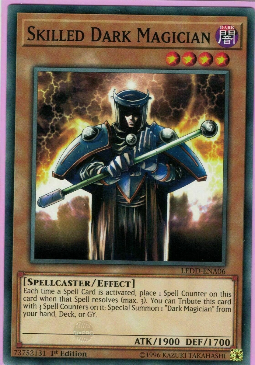 Skilled Dark Paladin