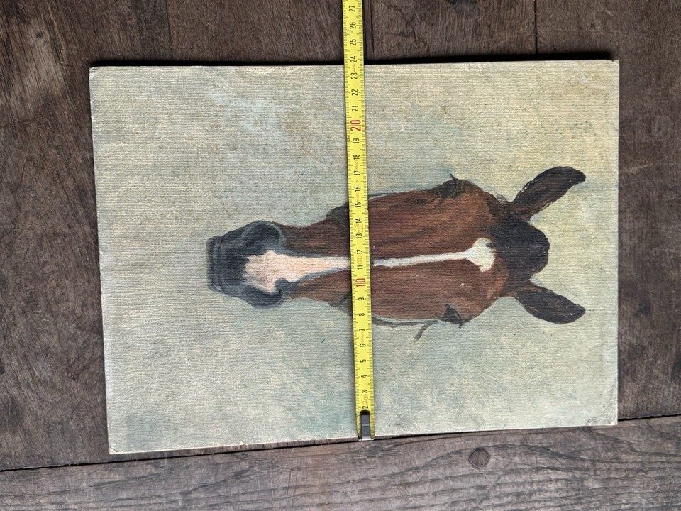 Studio Di Cavallo - Dipinto Fine Del XIX Secolo - Cavalli - Equestre | eBay