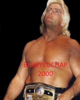 RIC FLAIR WRESTLER 8 X 10 WRESTLING PHOTO WWF NWA WCW | eBay