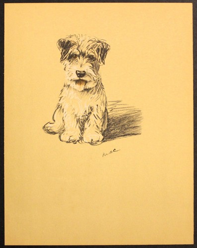 "BINKIE" Antique Vintage Lucy Dawson dog print 1937 | eBay