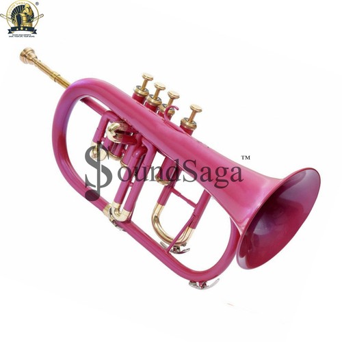 Flugelhorn 4 Valve Bb Pitch With Including mouthpiece & carry case ...