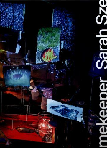 Sarah Sze: Timekeeper by Sarah Sze (2018, Hardcover / Hardcover) for ...