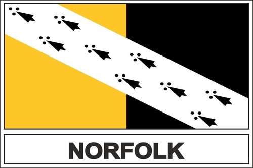 Sticker flag vinyl country uk county norfolk | eBay