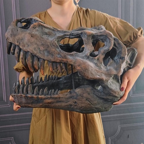 Tyrannosaurus Large Skull Dinosaur Bone Big T-Rex Head Resin Fossil ...