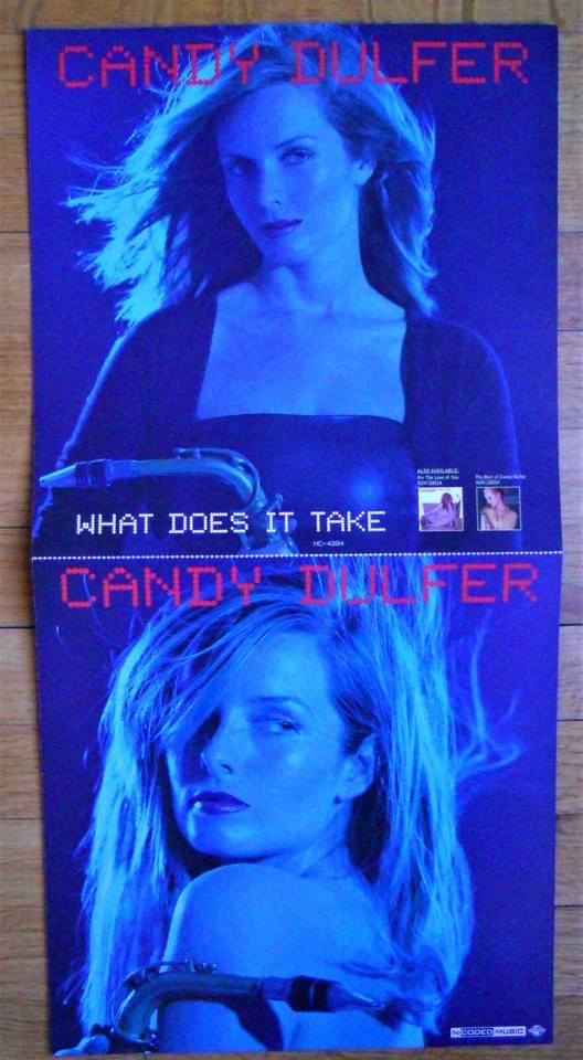CANDY DULFER What Does It Take 1999 12" X 24" N-Coded Music 2-sided ...