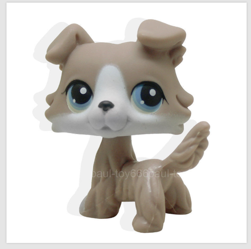 New #67 Rera Littlest Pet Shop Grey Tan Brown Collie Dog Puppy Blue ...