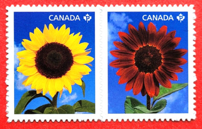 Canada Stamp #2444i (2443-2444) "Sunflowers" Die Cut from QP MNH 2011 ...