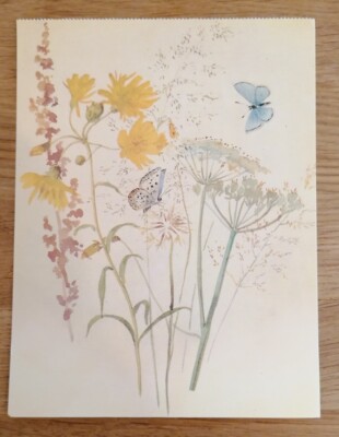 POSTCARD - Colour 7"X5" Edith Holden Edwardian English Countryside ...