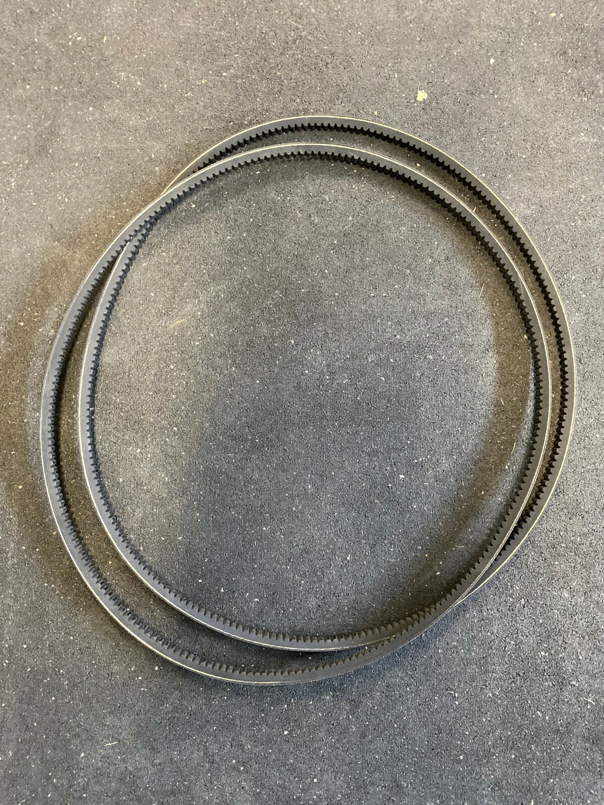 Continental AX50 Accessory Drive Belt Industrial V-Belt NEW | eBay