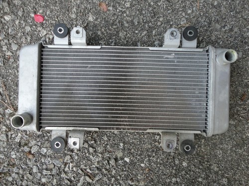Parting out 2014 Kawasaki Ninja 300 OEM radiator | eBay